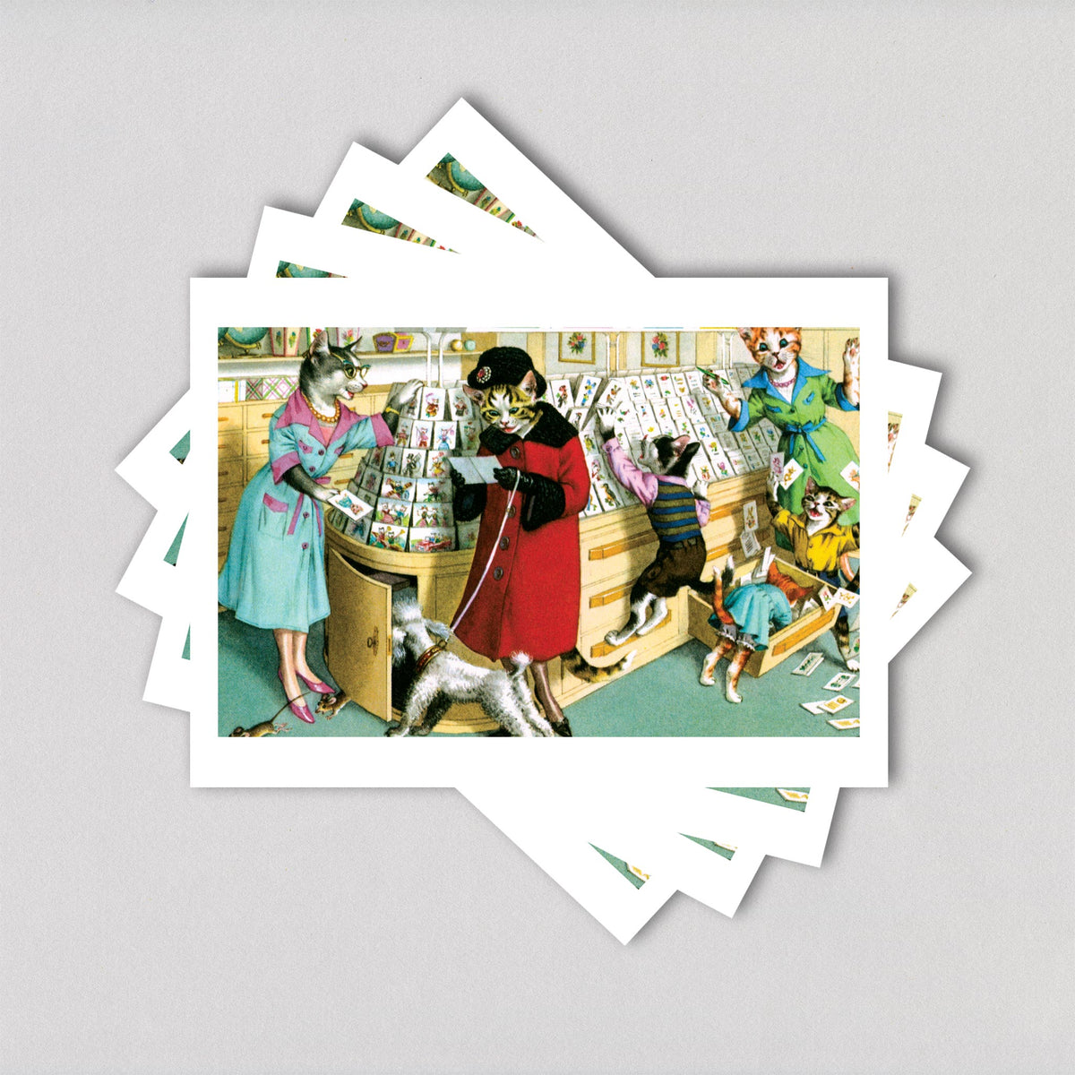 Card Buying in Chaos - Captivating Cats Postcard Set – Laughing Elephant